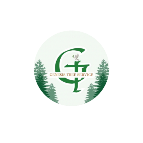 Genesis Tree Service – The Beginning of the Best Work